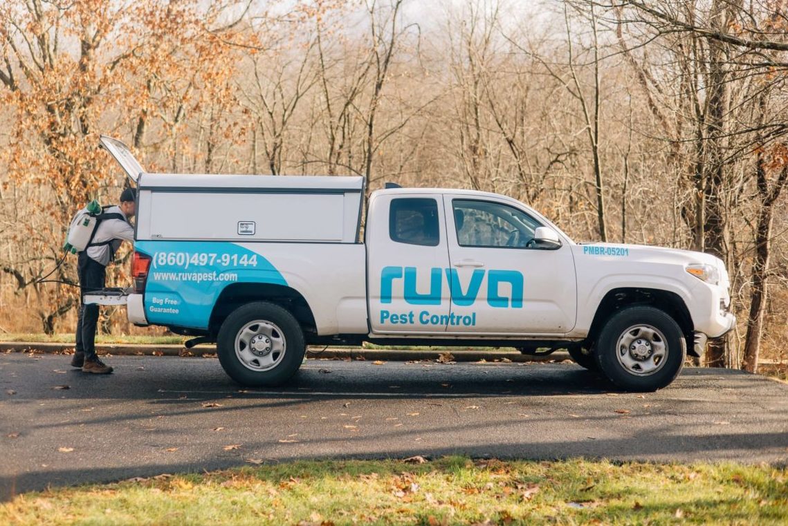 Expert South Windsor Pest Control - Ruva Pest Control